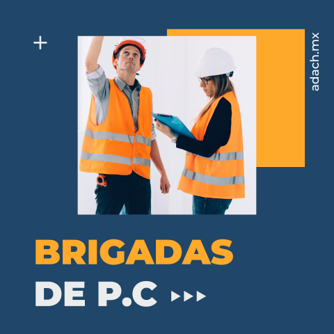 Capacitaciones ADACH – ADACH.MX