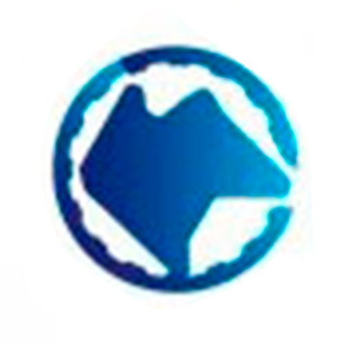 Trámites Vehículares – ADACH.MX